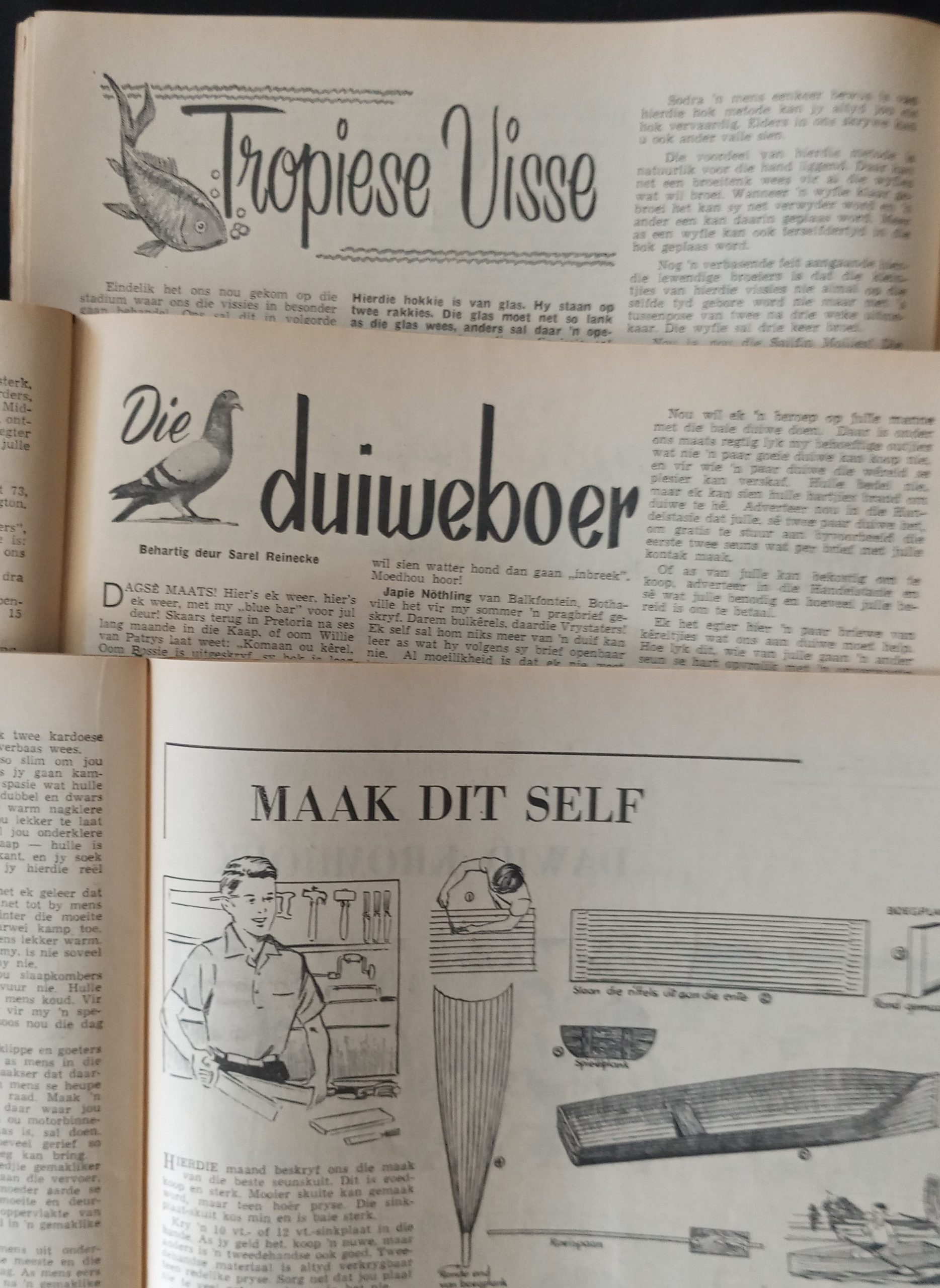 ‘PATRYS’ EN ‘DIE JONGSPAN’ – Mediamense